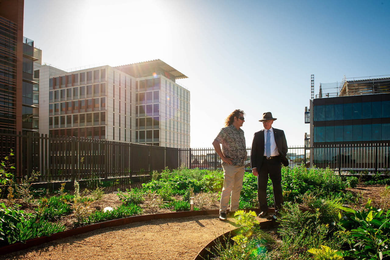 Redfern’s new indigenous rooftop teaching communities about place