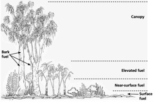 How to green our cities without putting communities at risk of bushfire ...
